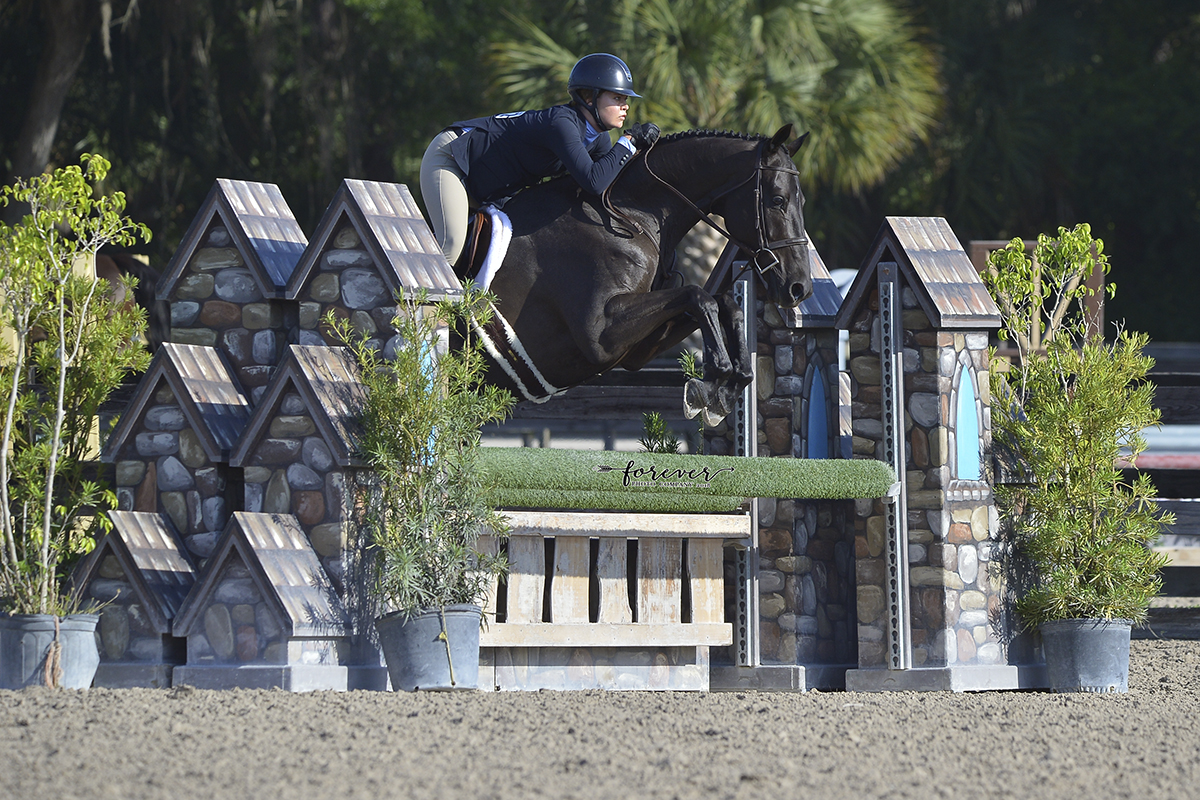 Sales – Shamrock Show Stables